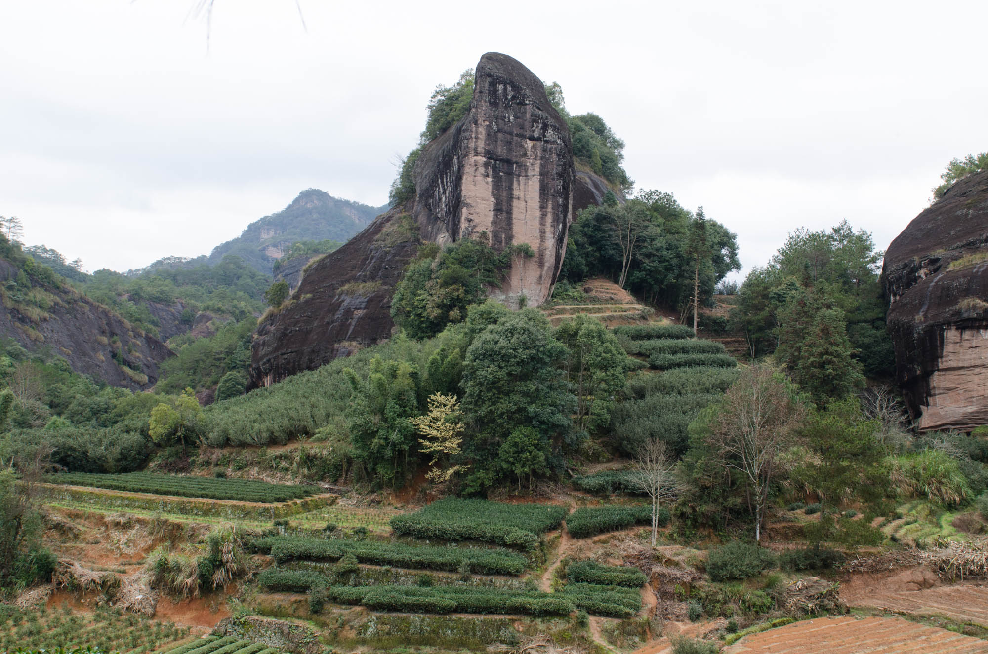 Hike to Ma Tou Yan - Old Ways Tea Company